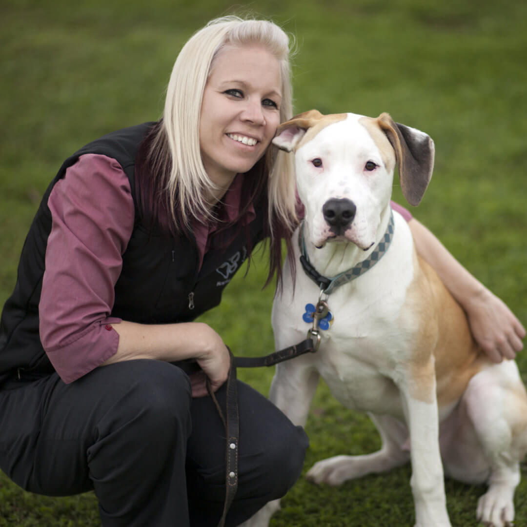 About Us - Caroline Springs Vet Hospital Open 7 Days