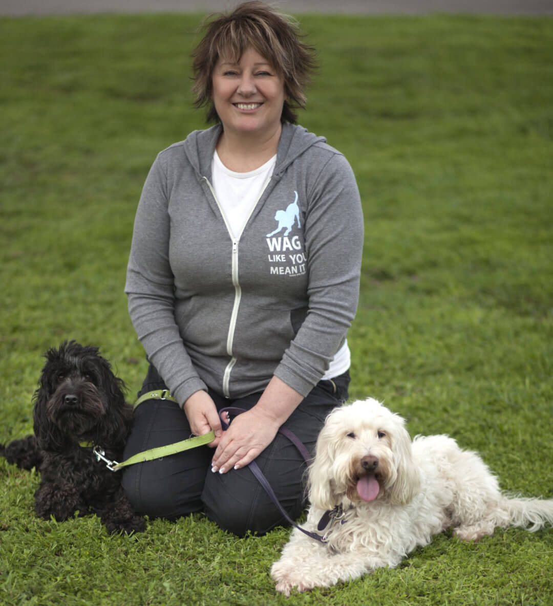 About Us - Caroline Springs Vet Hospital Open 7 Days