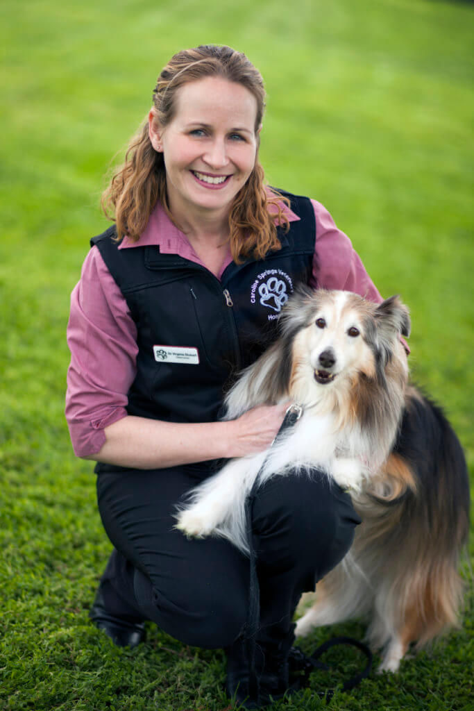 About Us - Caroline Springs Vet Hospital Open 7 Days