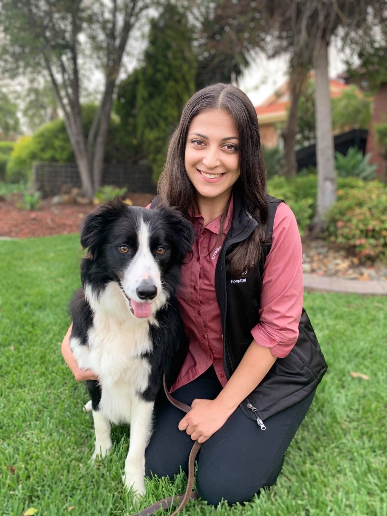 About Us - Caroline Springs Vet Hospital Open 7 Days