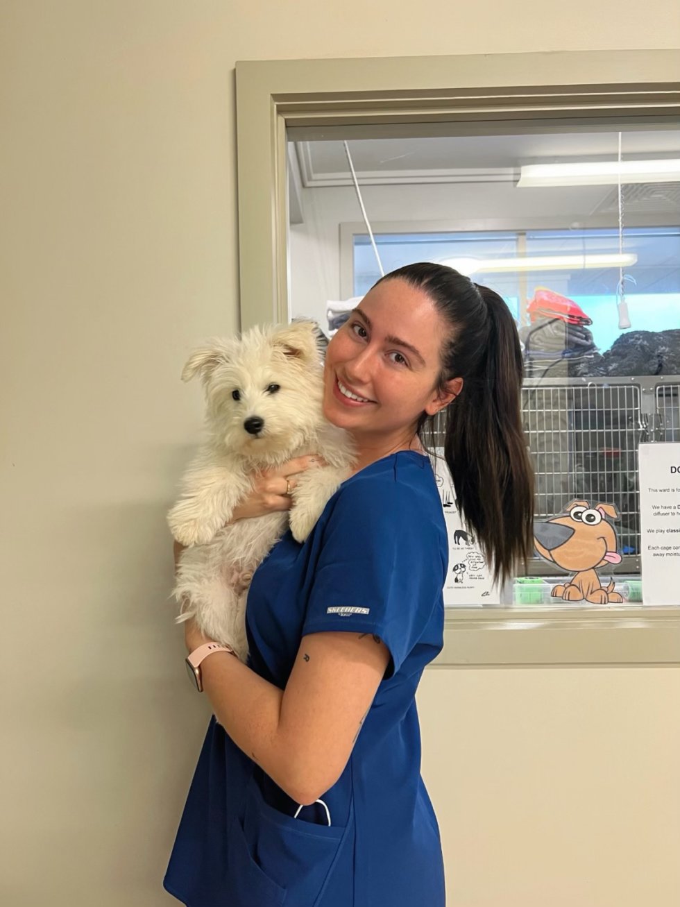 About Us - Caroline Springs Vet Hospital Open 7 Days